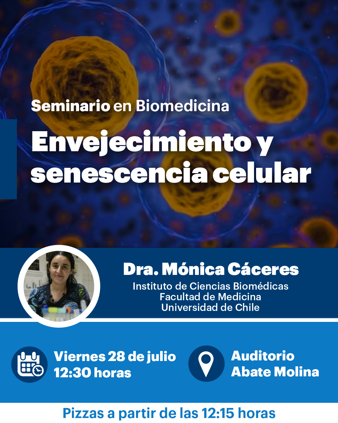 Seminario :: Envejecimiento y senescencia celular | Doctorado en ...